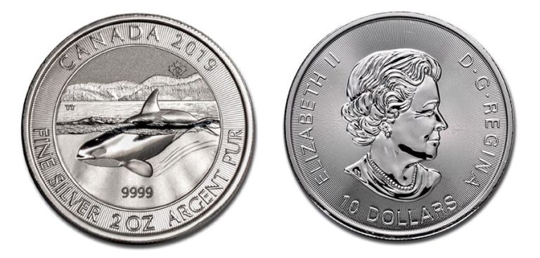 2oz Canadian Silver Orca Coin Review For 2022 - Bonds Online